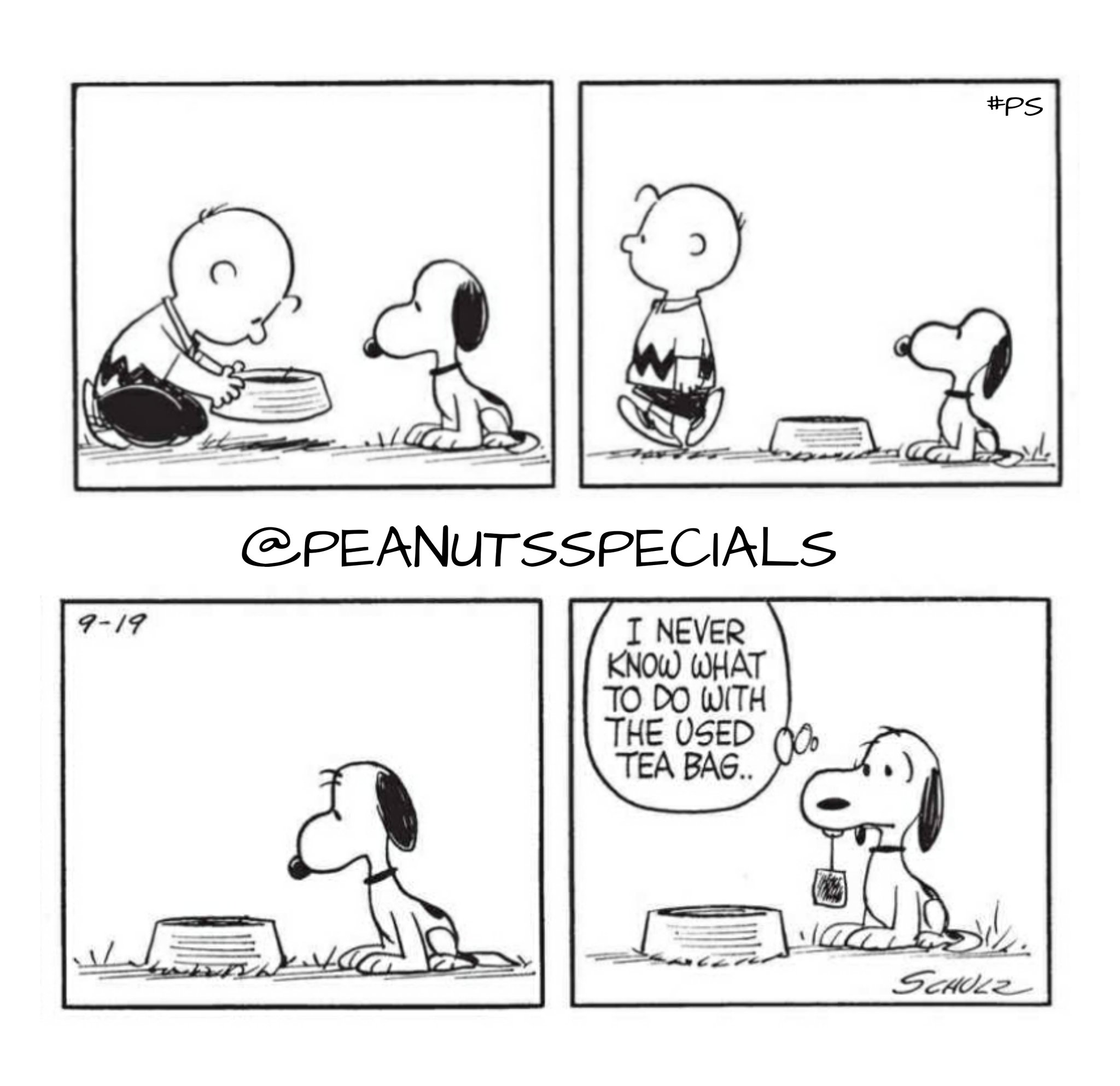 Snoopy Tea