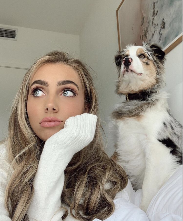 What Type Of Dog Was Benji