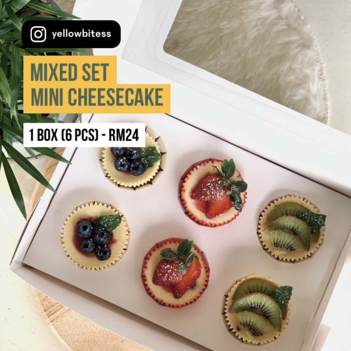 Mini Cheesecake Packaging