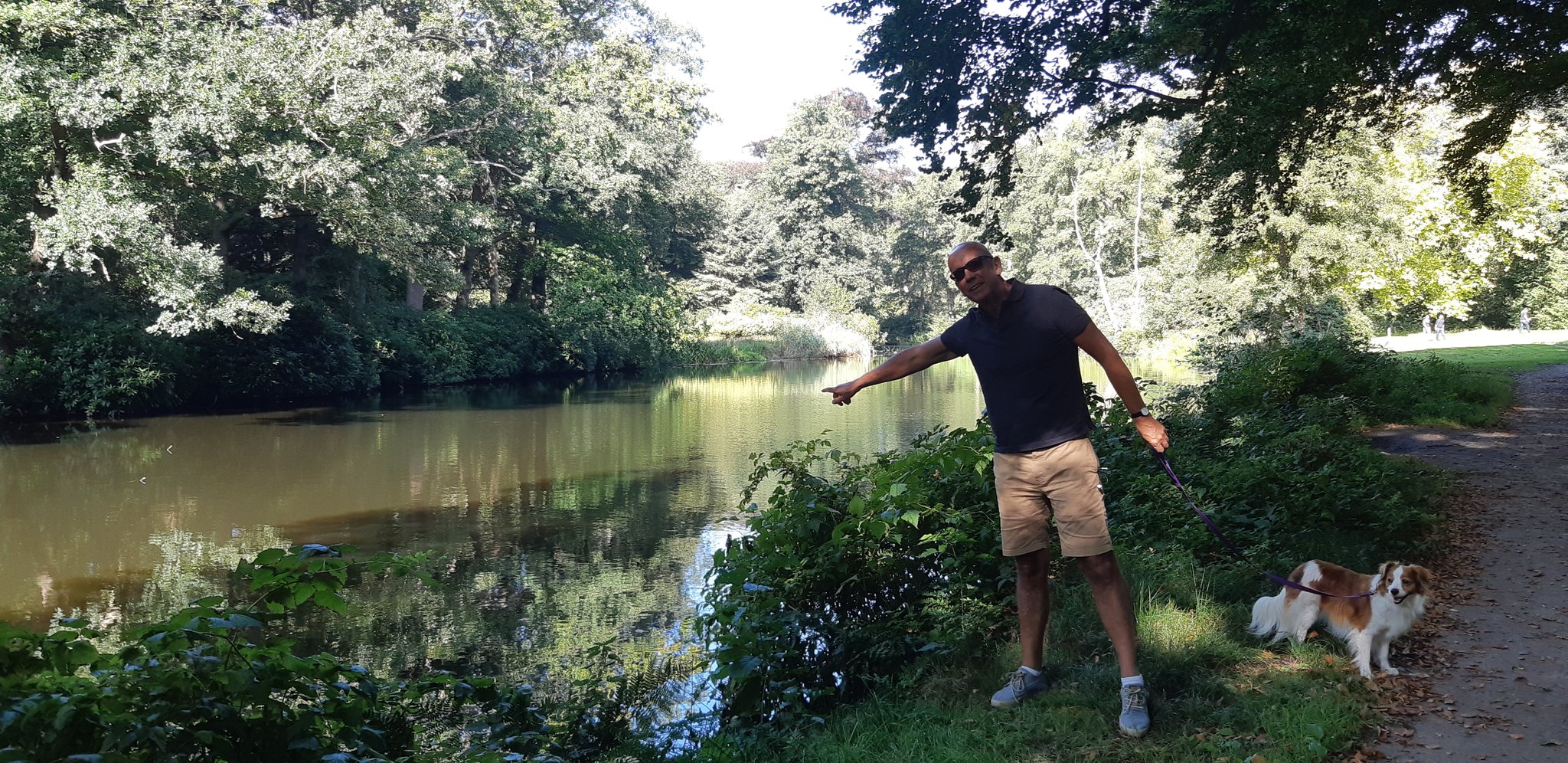 Eric van 't Hoff on Twitter: "Relaxing walk with our dog in the forests of park #Boekesteyn ...