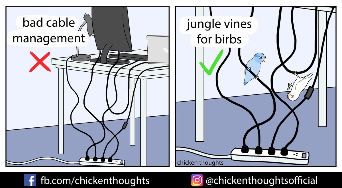 「Preorder the Chicken Thoughts book! Out November 1st! https:」Chicken ...