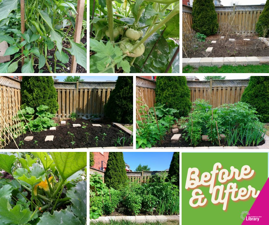 Home | Richmond Hill Public Library