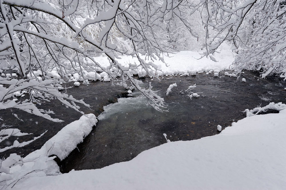 TW Pornstars - 1 pic. Extreme Piercing Jenny Simpson. Twitter. Winter ...