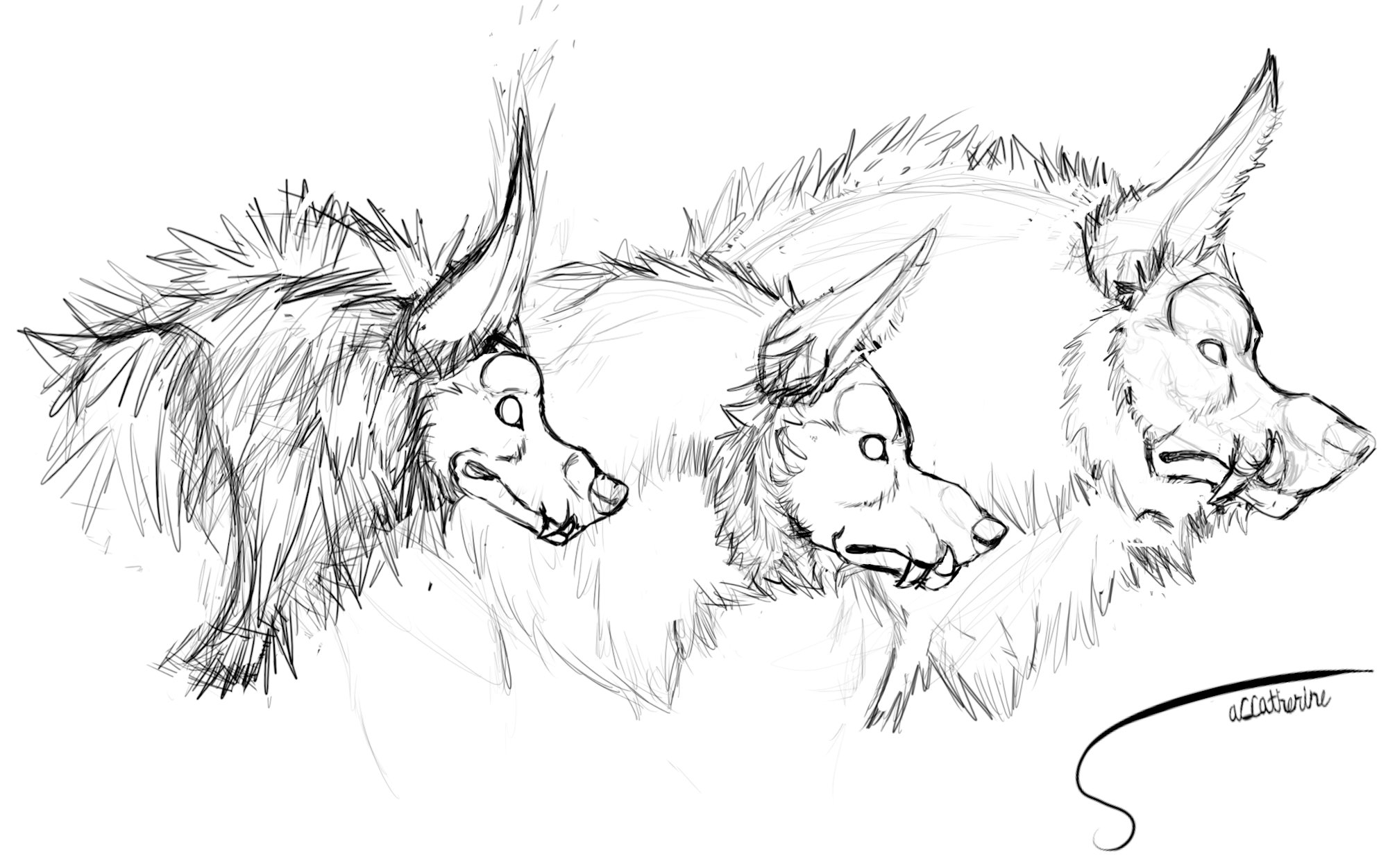 Wolf Pack Lineart