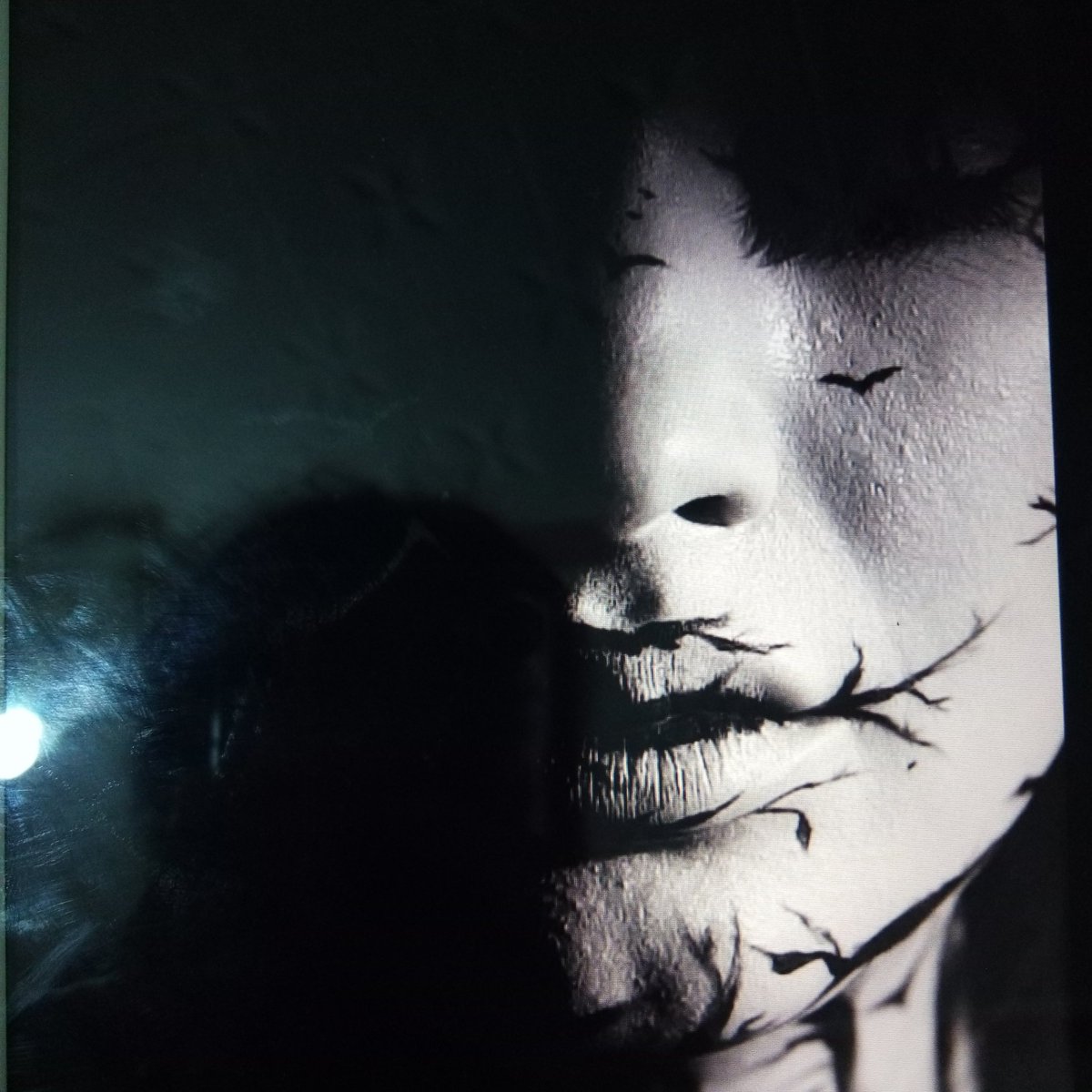 Btool (@Btool21836418) | Twitter