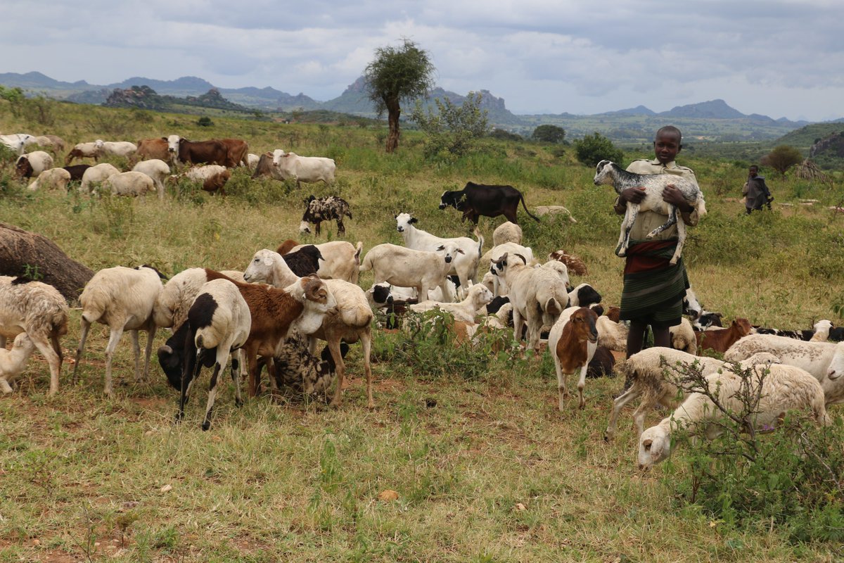 Uganda, Kampala - Sweden Abroad