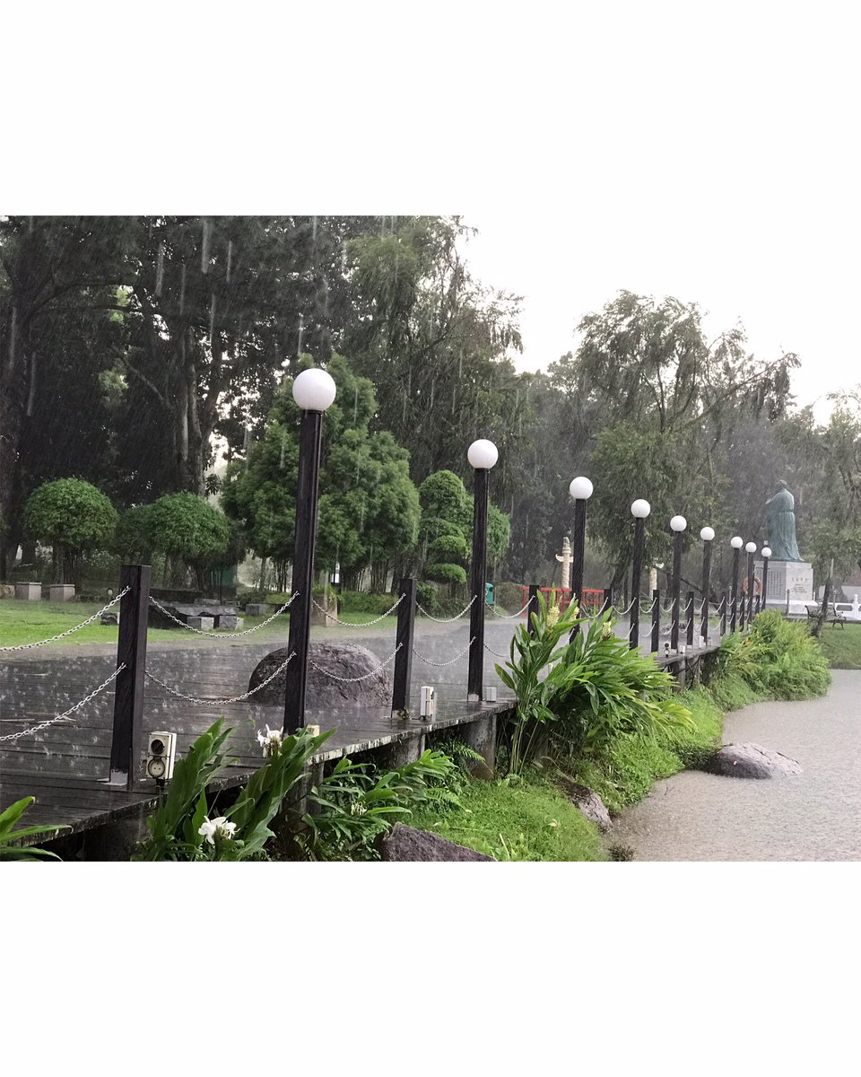 Packy (@Packy_Patrick) | Twitter