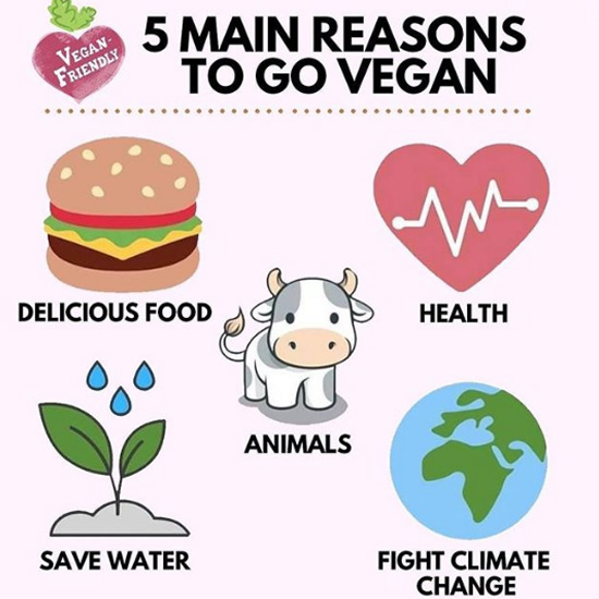 Reasons To Go Vegan