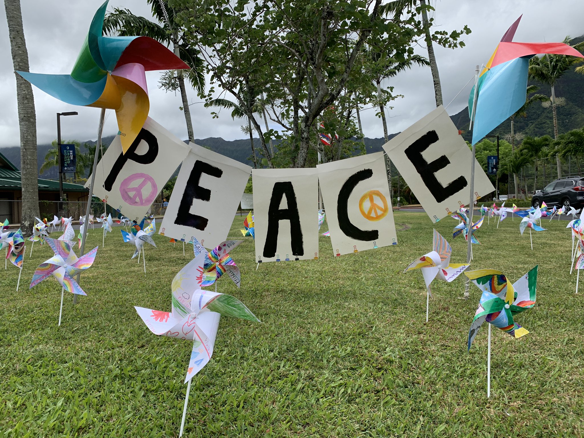 Pinwheels For Peace