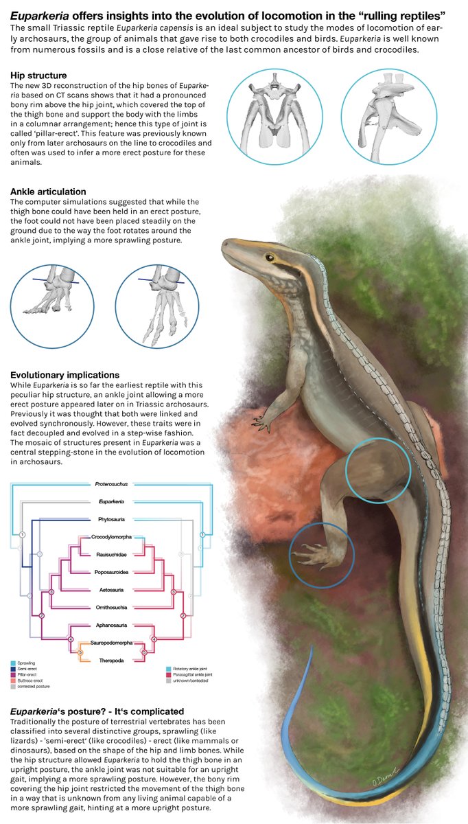 Oliver Demuth (@OliverDemuth) さんのイラスト・マンガ作品まとめ (15 件) - Twoucan