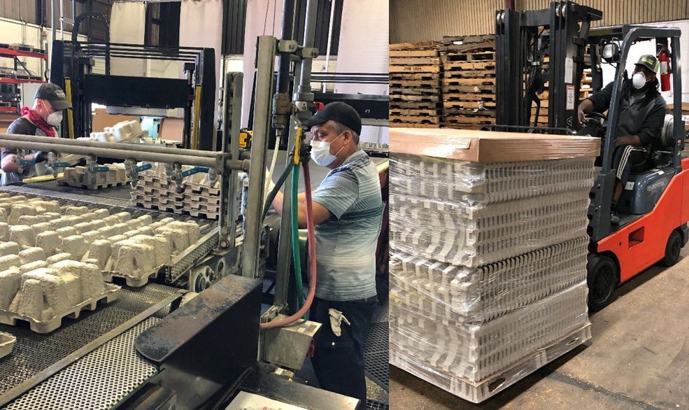 Sustainable Shipping with Custom Molded Pulp Packaging | EnviroPAK