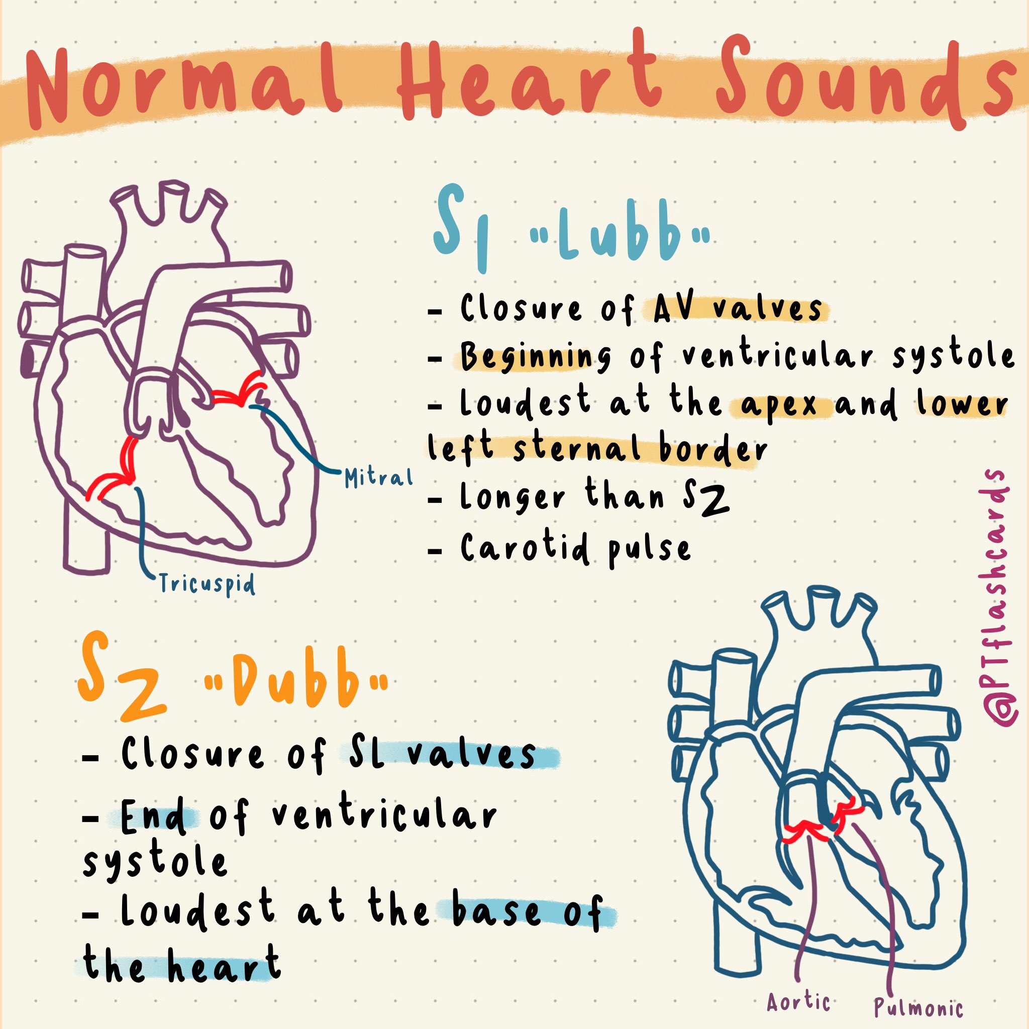 Normal Heart Beat Sound