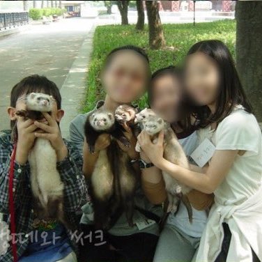 Exo Chanyeol Pre Debut Ferret