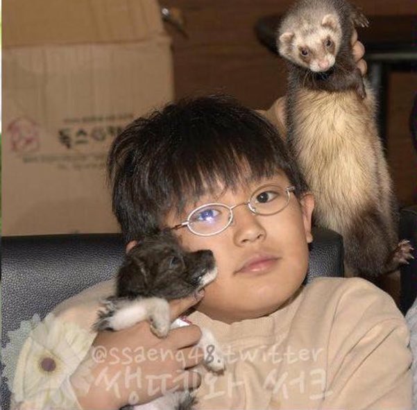 Exo Chanyeol Pre Debut Ferret