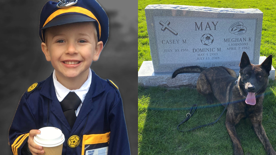 Dominic May loved dogs and dreamed of being a cop. Now, the Madison ...