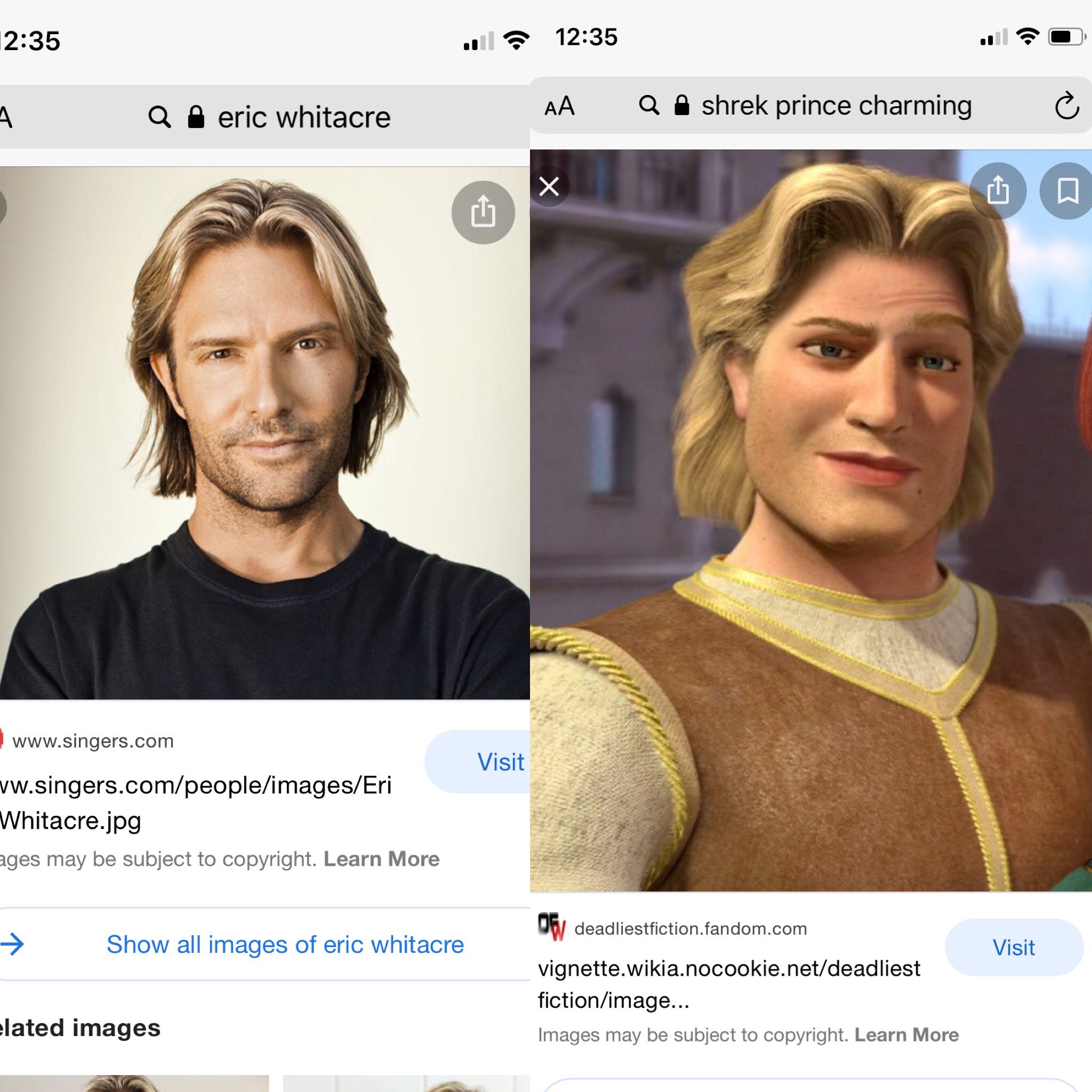 Prince Charming Shrek Hair