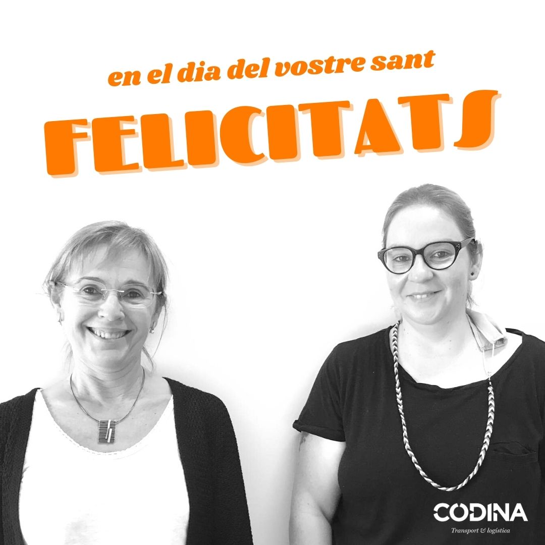 Contador Horno Seguid así transports codina Fuerza Me preparé Ingenieros