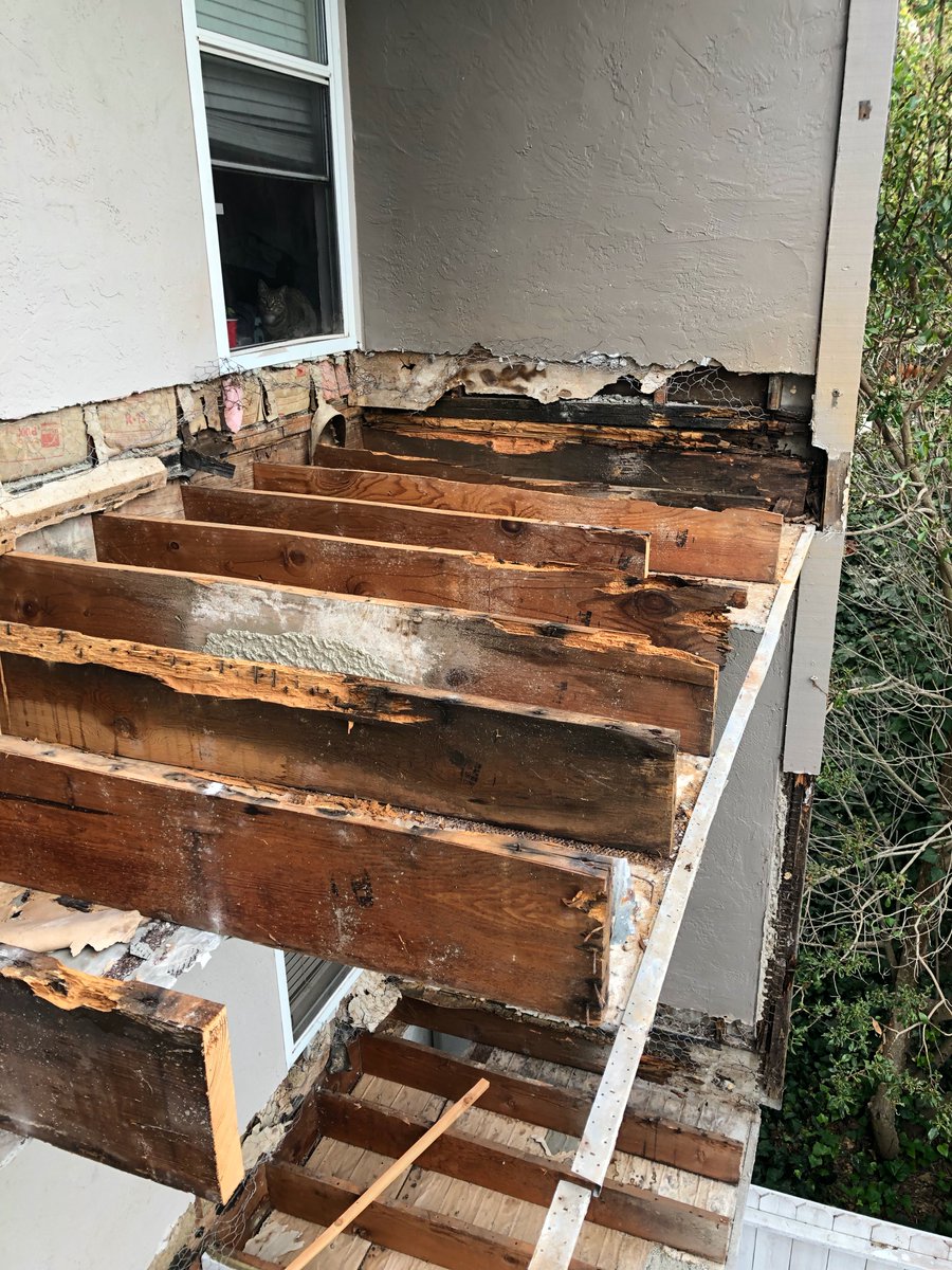 Freestone Reconstruction (@Freestone_CA) | Twitter