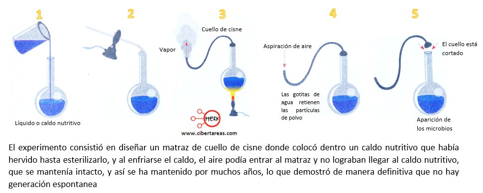 Pasteur Experimento