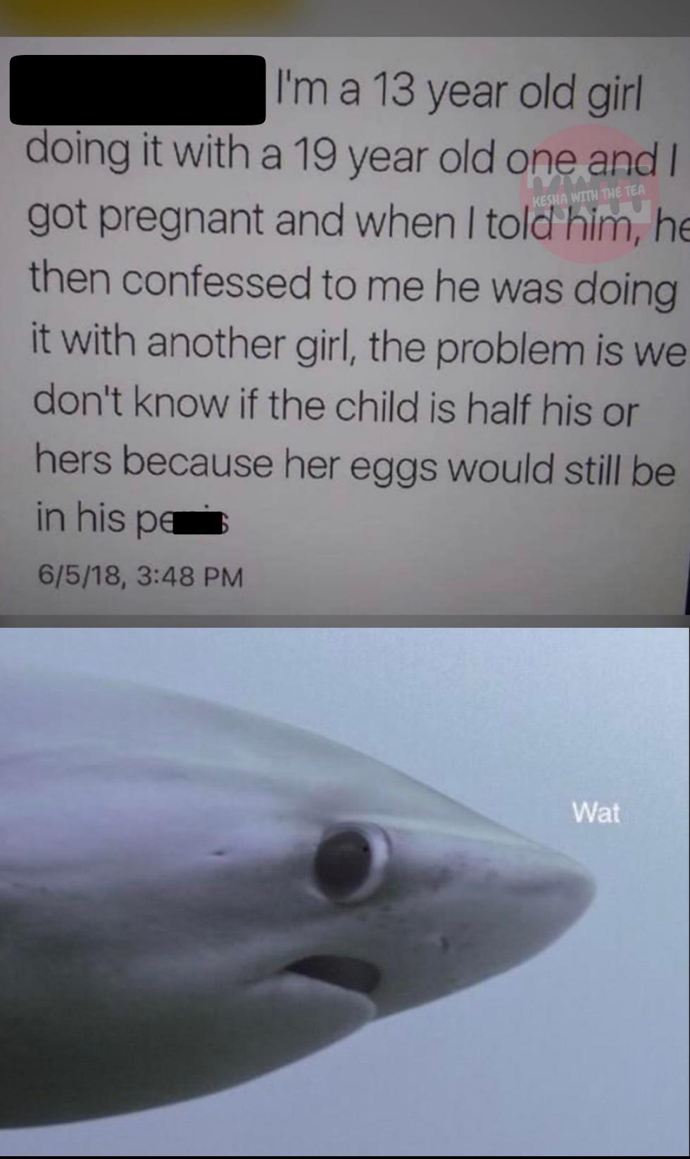 U Ok Shark Memes But If You Close Shark Eyes! : R/CuratedTumblr
