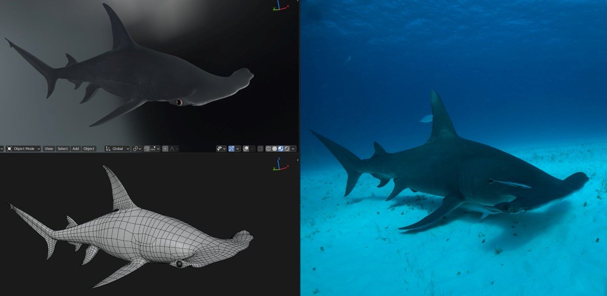 Blue Ring Imaging (@blueringimaging) | Twitter