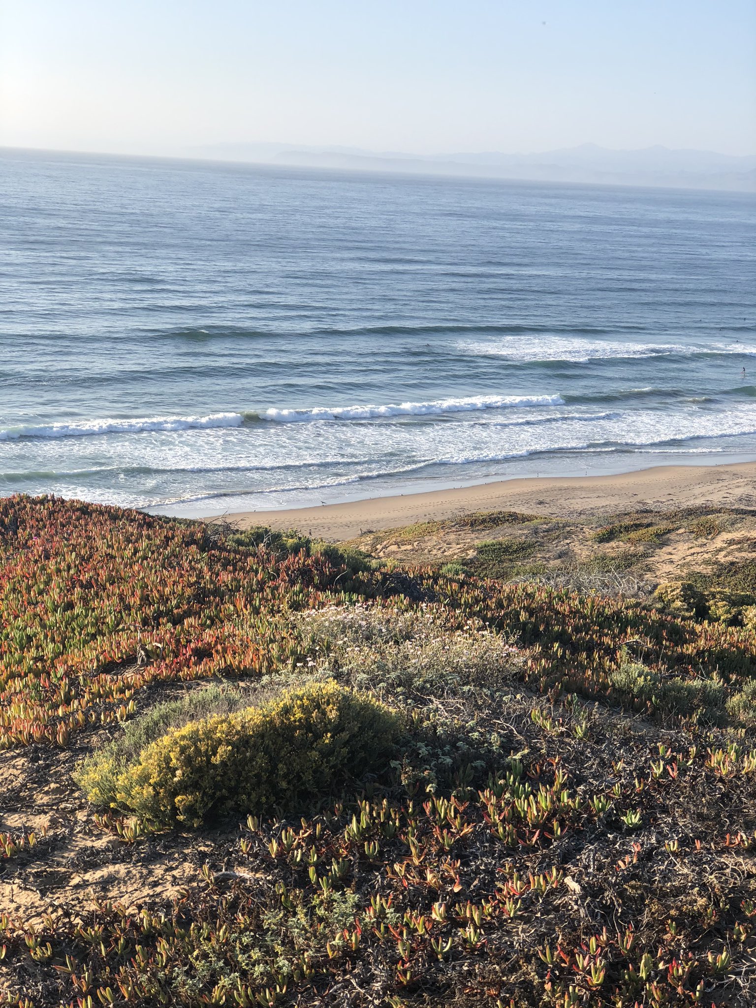 TW Pornstars - 3 pic. Tori Easton. Twitter. 12:21 AM - 25 Sep 2020