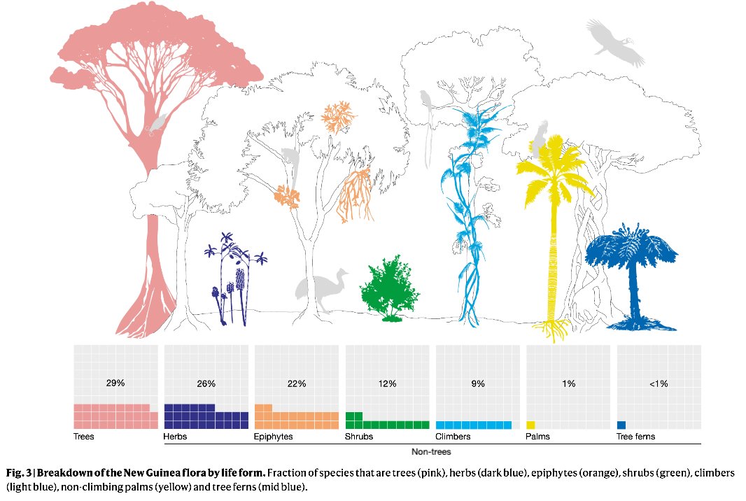This island’s dazzling flora makes it the most plant-diverse on the ...