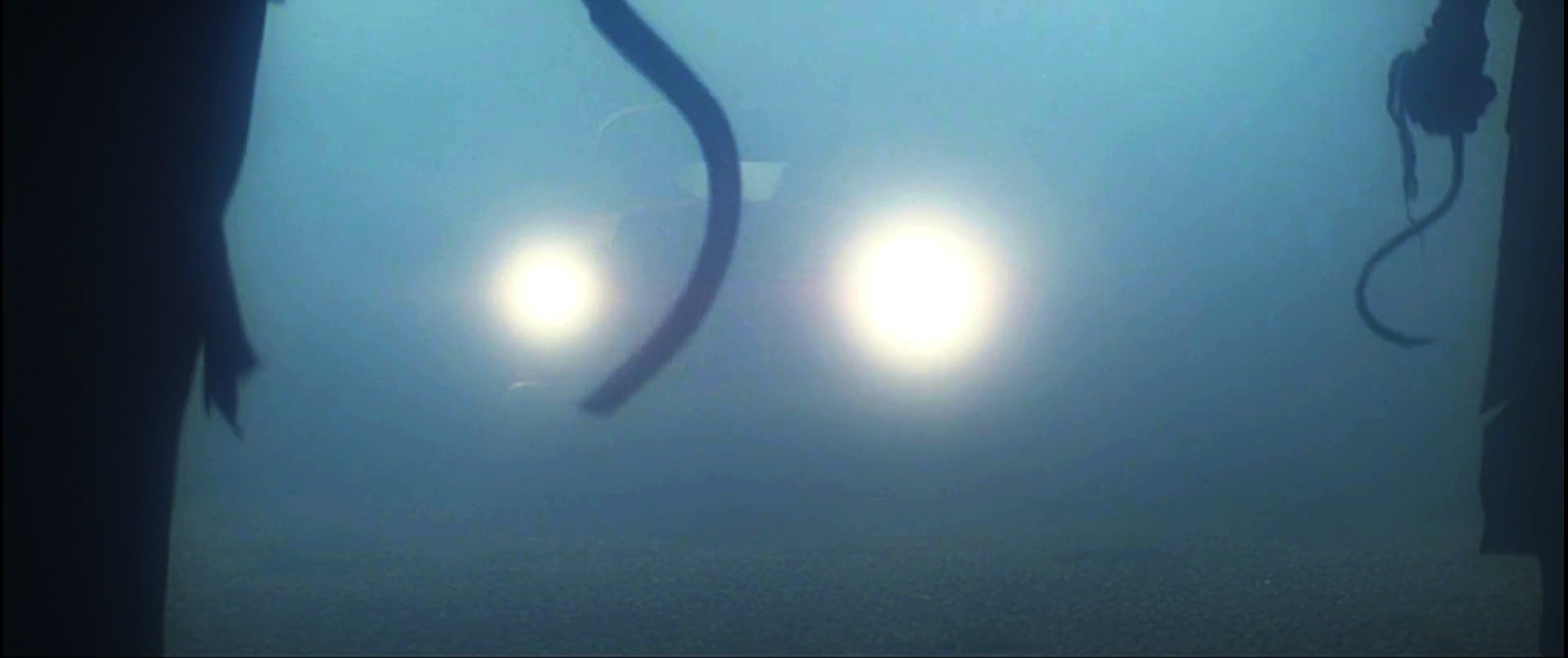 The Fog 1980 Monster