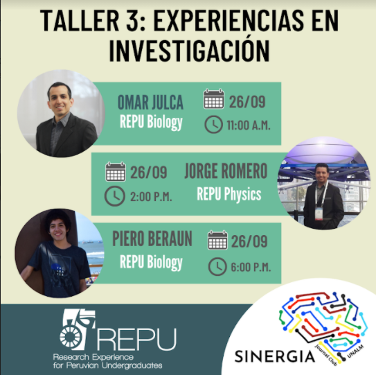 Sinergia Program (@sinergiaprogram) | Twitter