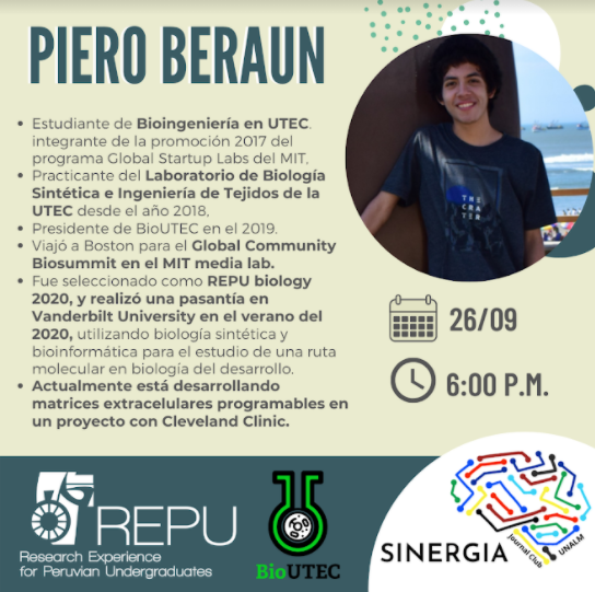 Sinergia Program (@sinergiaprogram) | Twitter