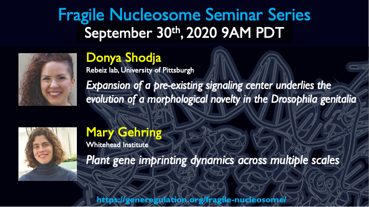 Mary Gehring's Instagram, Twitter & Facebook on IDCrawl