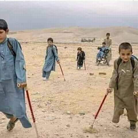 Bleron Berisha (@bler0n) | Twitter