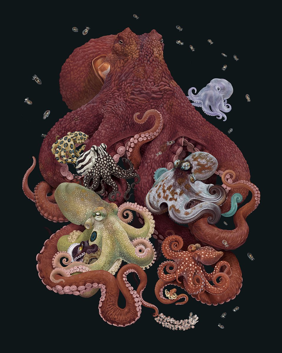 Interview with Zoe Keller – Art Soup