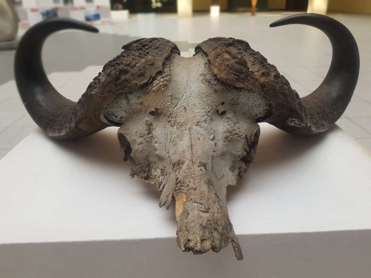 National Museum Lusaka