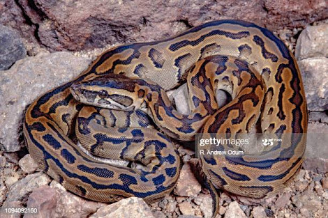 Discover and read the best of Twitter Threads about #Spirituality