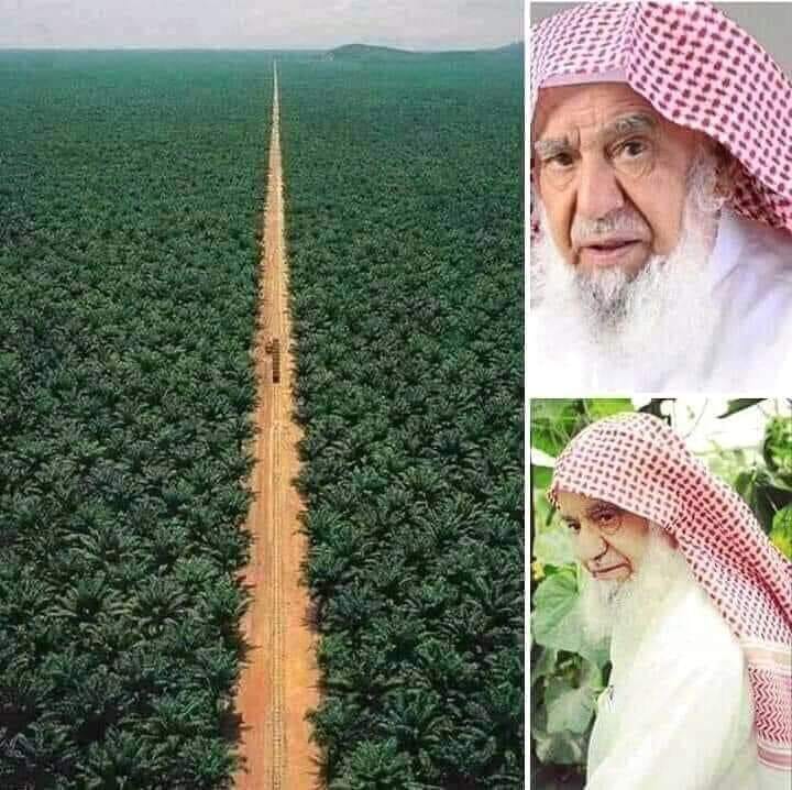 Thread by @A4R_Ali on Thread Reader App – Thread Reader App