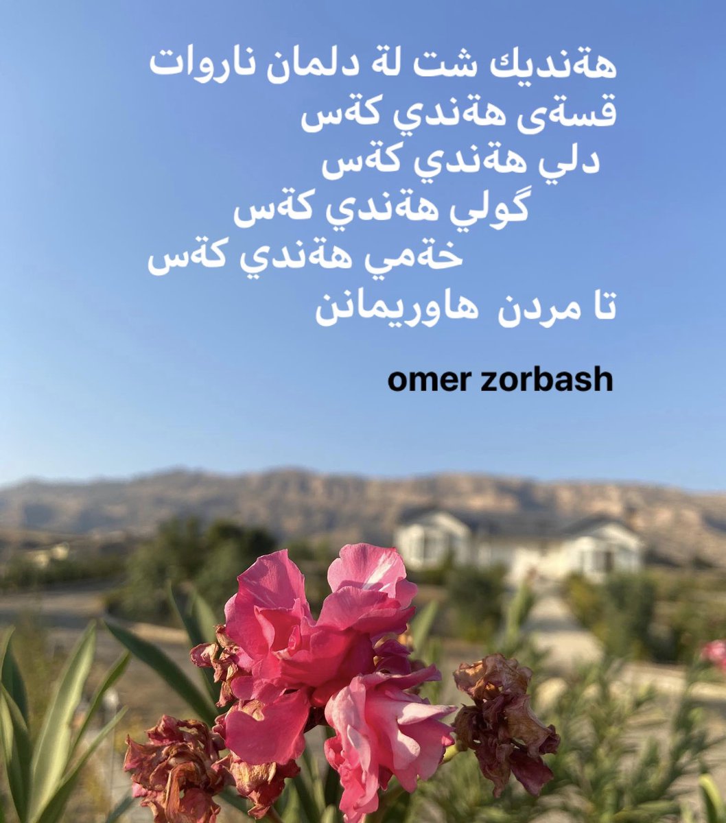 omer zorbash (@ZorbashOmer) | Twitter