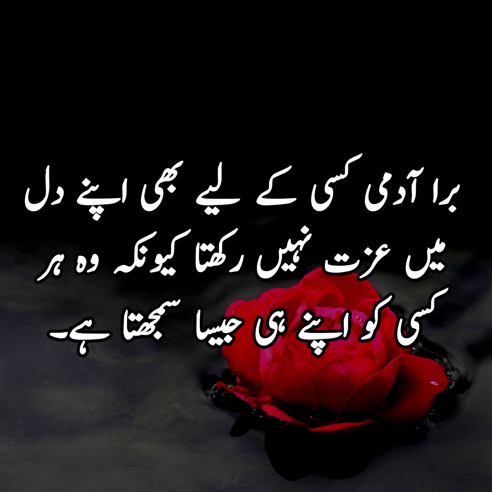 Aqwal E Zareen In Urdu Wallpapers Aqwal E Zareen Post 13 Urdu Hub