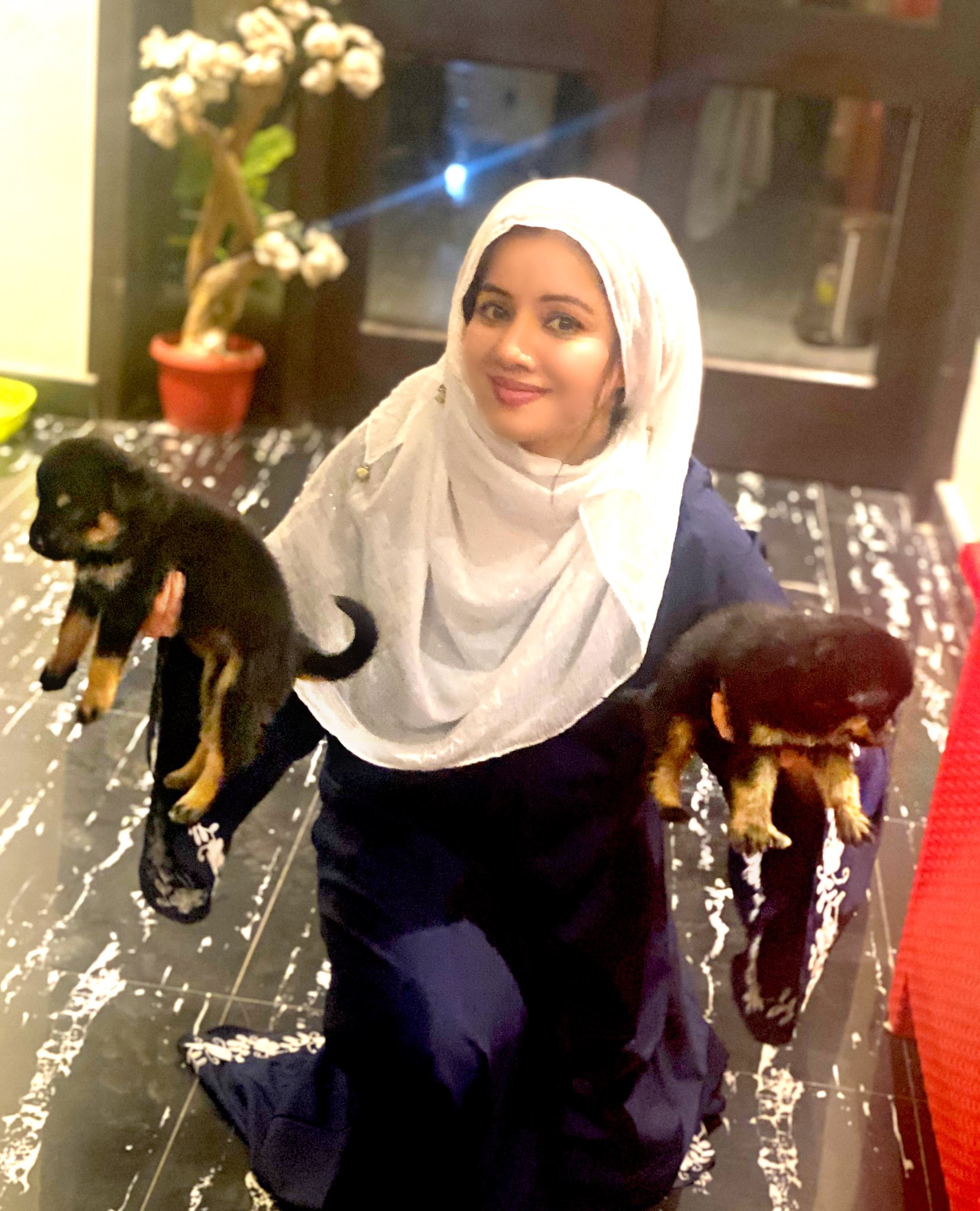 Why Muslims Dont Like Dogs