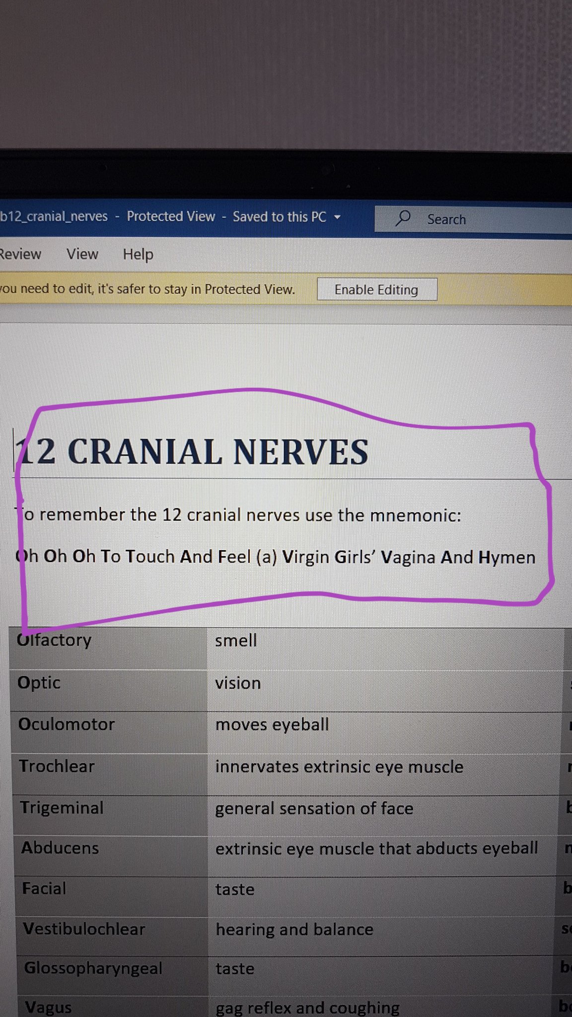Cranial Nerves Mnemonic Harry Potter