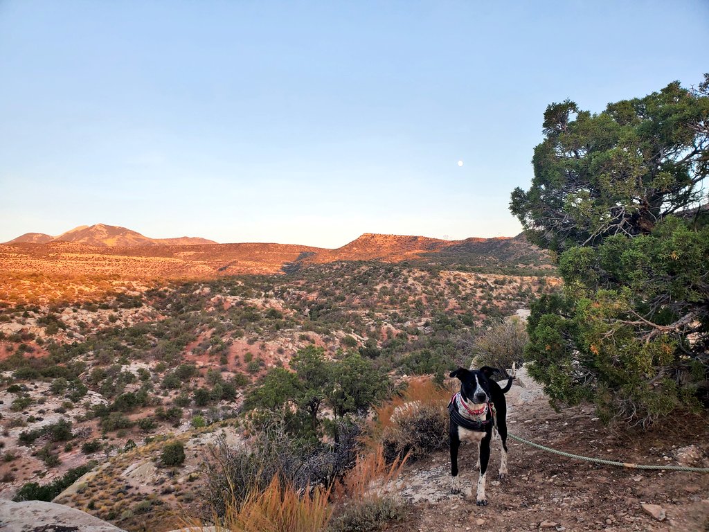 TW Pornstars - Macy Meadows. Twitter. Views from tonight's camp spot 😊 ...