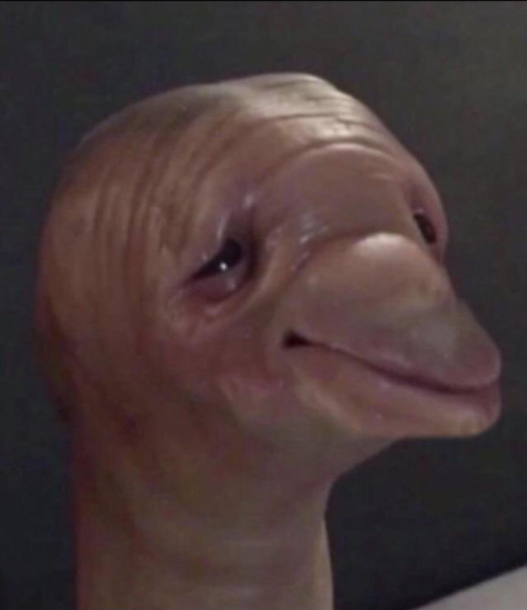 Birds With Human Faces