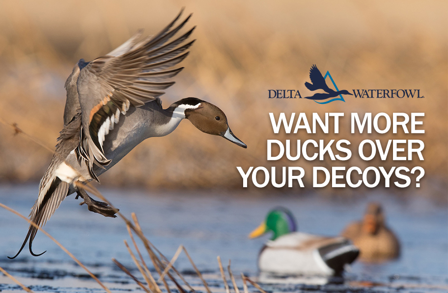 Delta Waterfowl Wallpaper