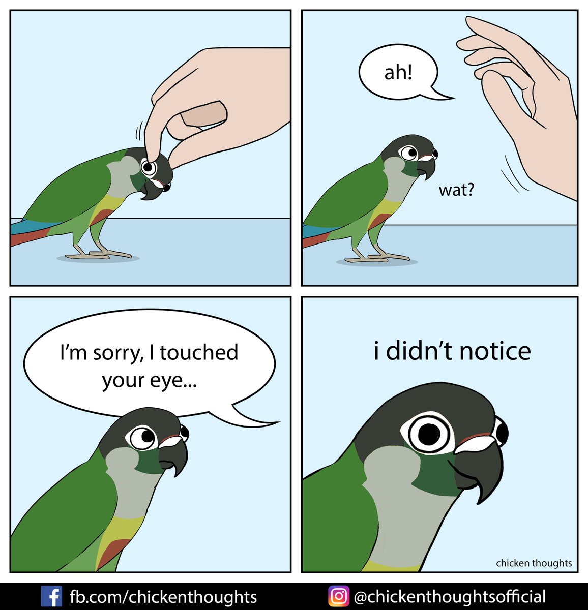 「Preorder the Chicken Thoughts book! Out November 1st! https:」Chicken ...