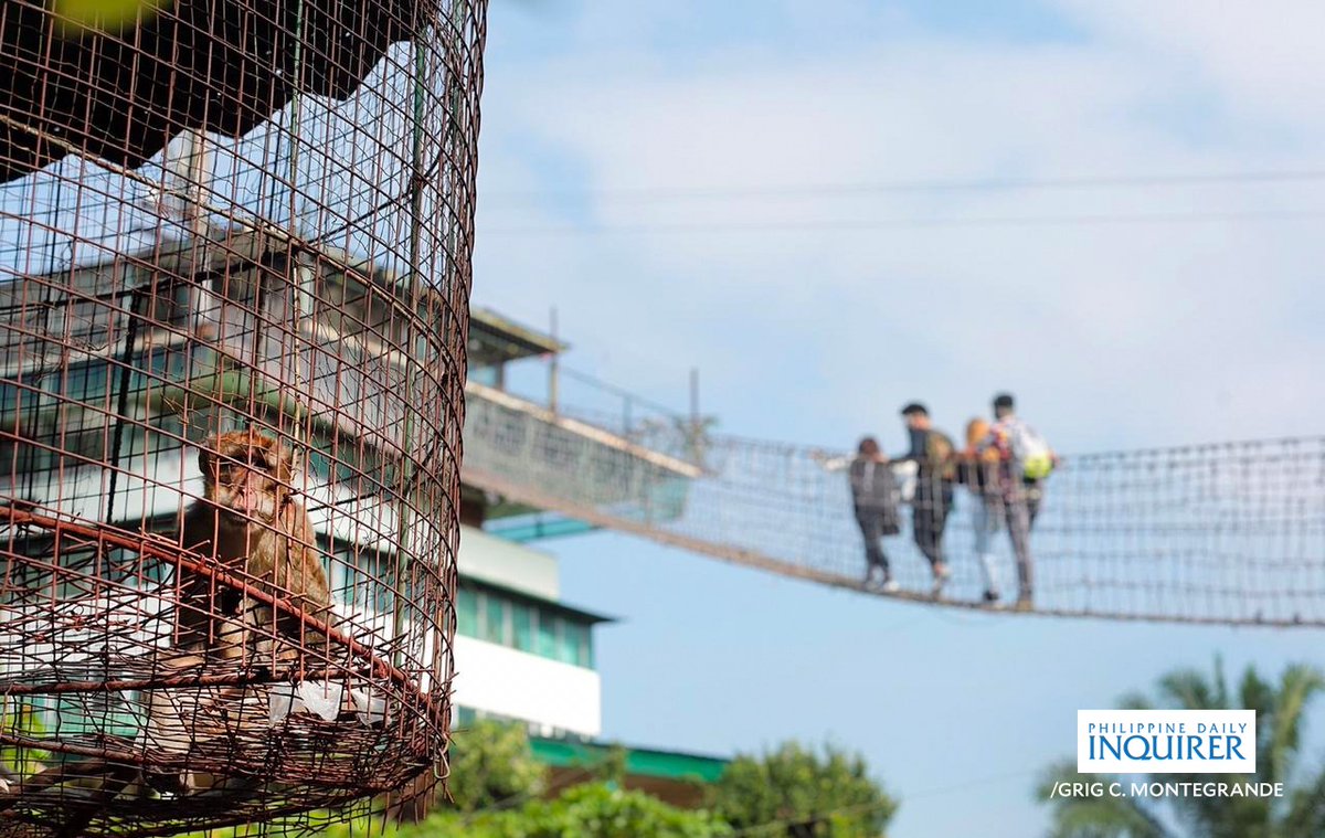 LOOK: Locals climb the hanging bridge of the 360 degree view deck at ...