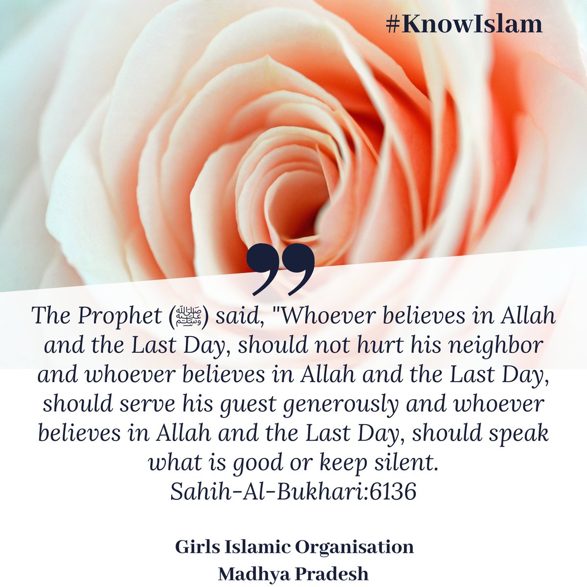 Midhat Khan (@Midhat___) | Twitter