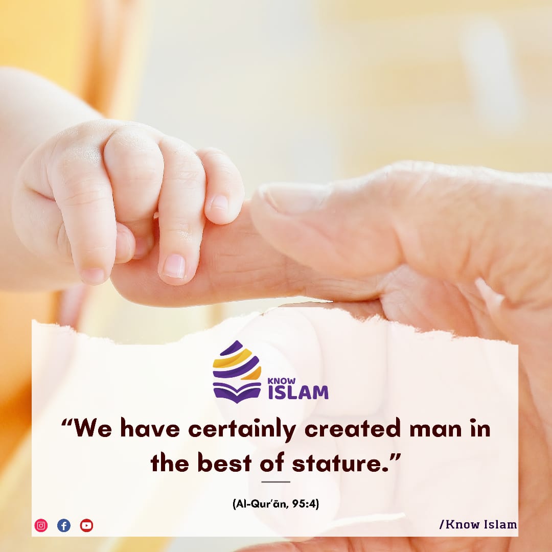 Midhat Khan (@Midhat___) | Twitter