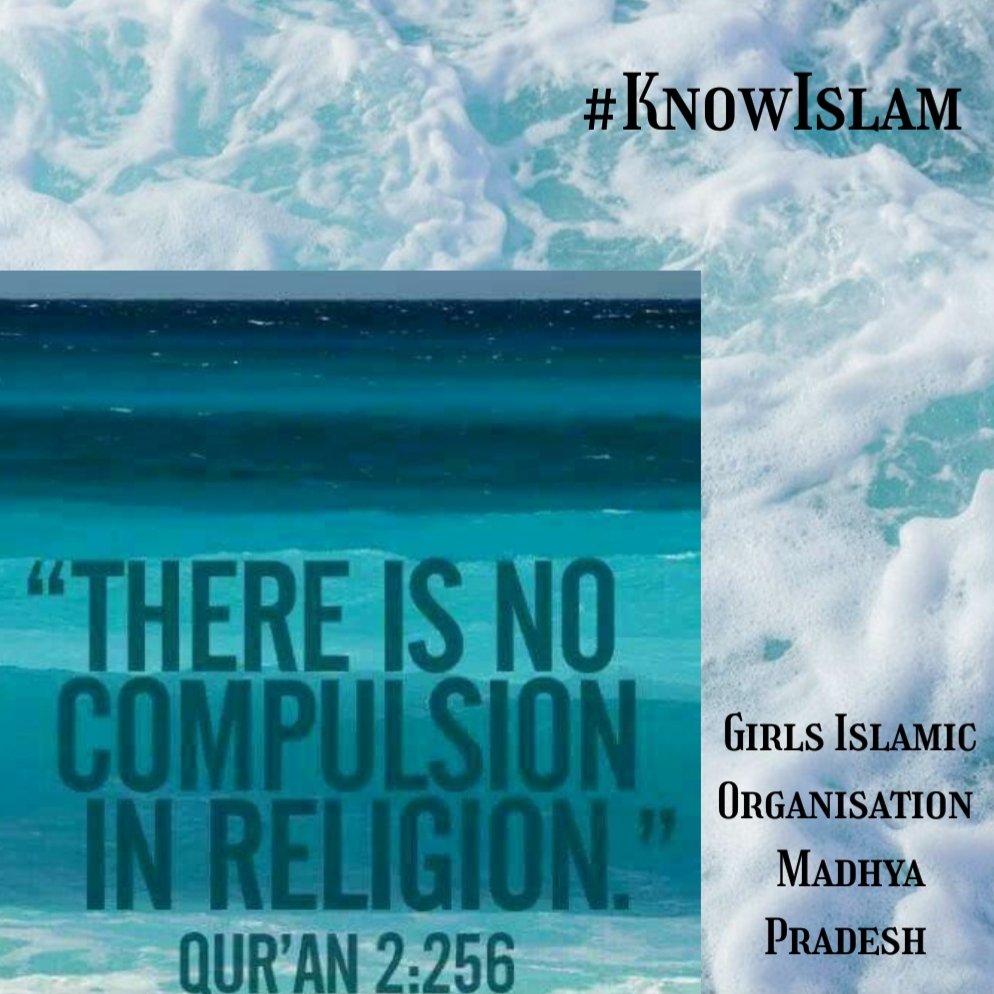 Midhat Khan (@Midhat___) | Twitter