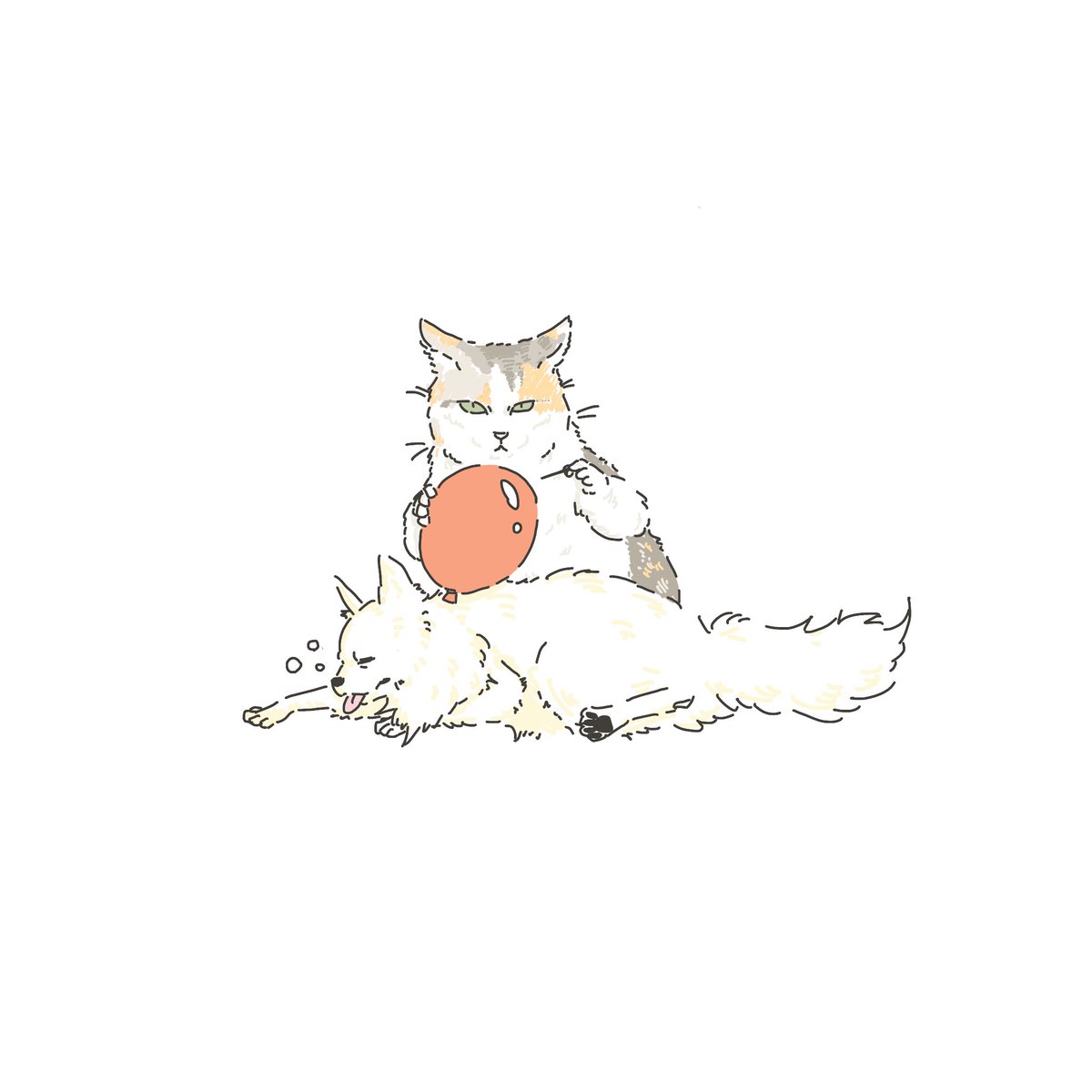 cats doing shit (@zoo33971758) / Posts / X