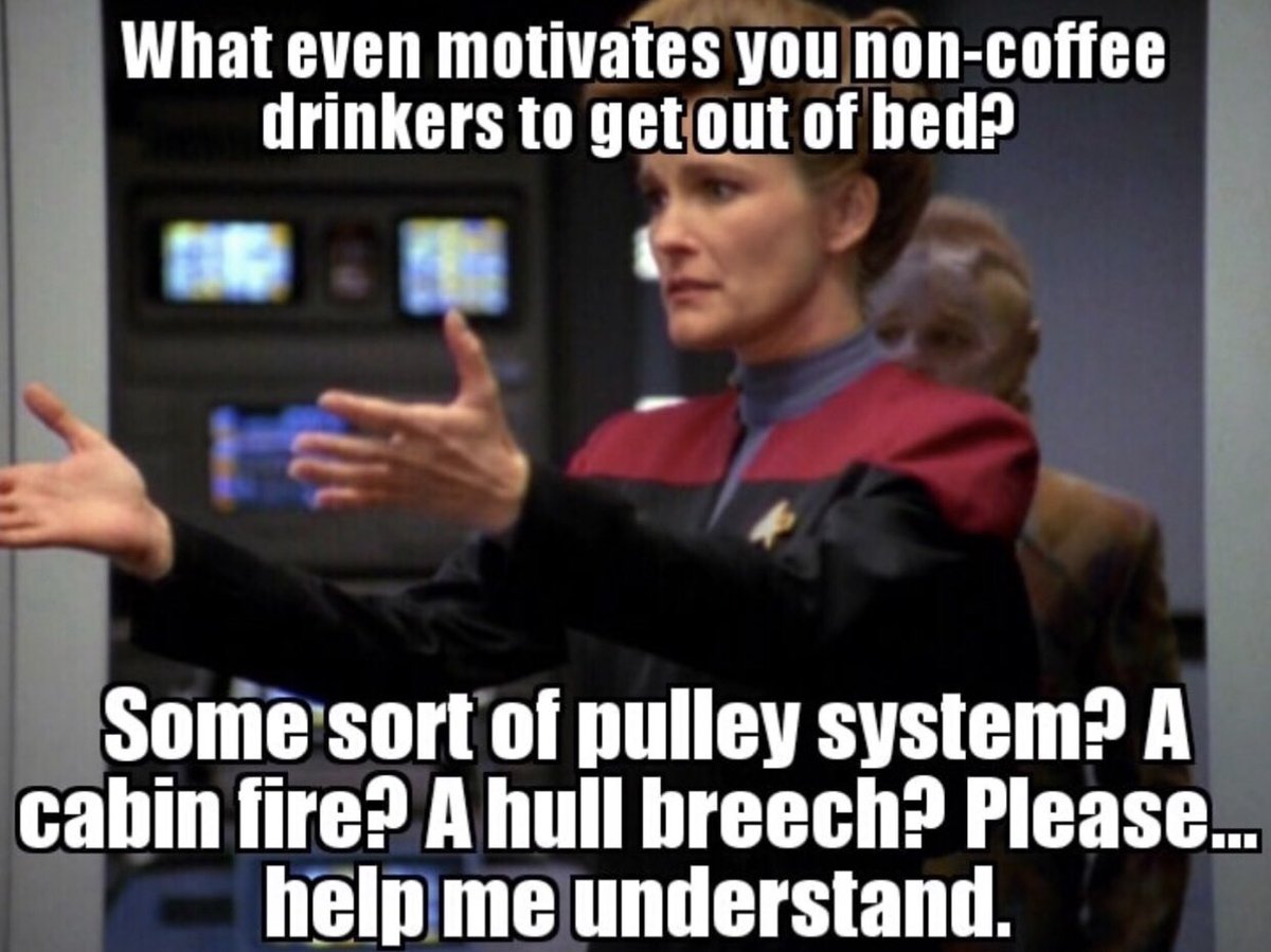 Captain Janeway Meme